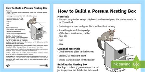 How To Build A Possum Nesting Box Teacher Made Twinkl