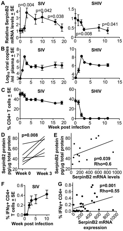 Siv And Shiv Infection In Monkeys A Serpinb2 Mrna Expression Levels