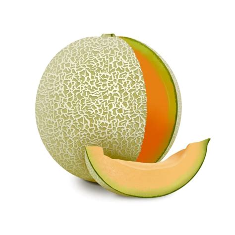 Melon Set DiverDibujos