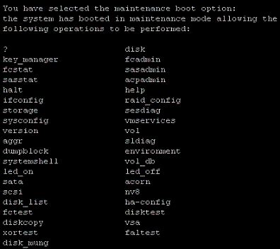 Network Appliance Checking Netapp Filer After A Panic