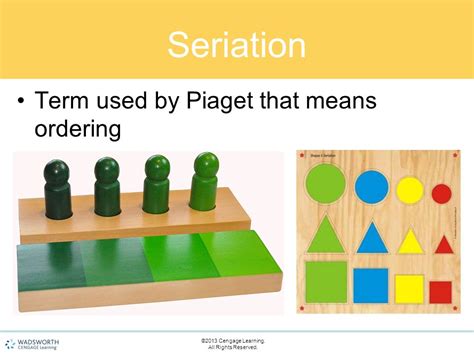 Seriation Piaget