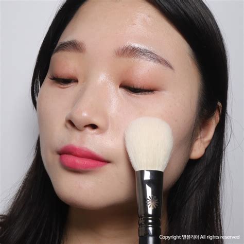 피카소 파우더 브러쉬 103pb 여름 베이스 메이크업 브러쉬 네이버 블로그