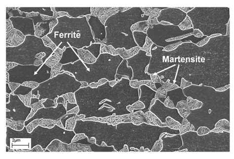 2 The Microstructure Of A Dp800 Steel Download Scientific Diagram
