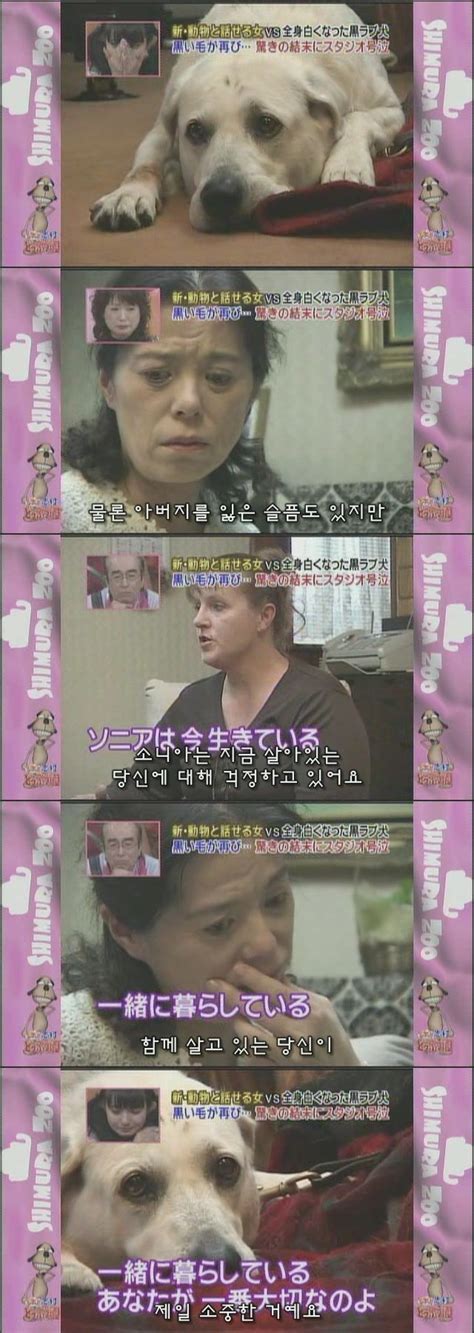 더쿠 일하다 우는사람된 흰 색 강아지가 되어버린 검은 강아지 이야기