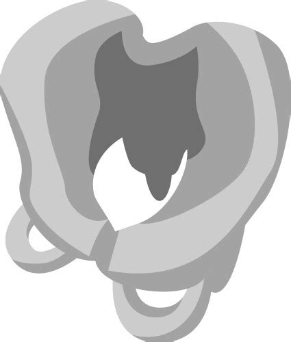 Structure Of Human Cervical Spine Schematic Vector Image