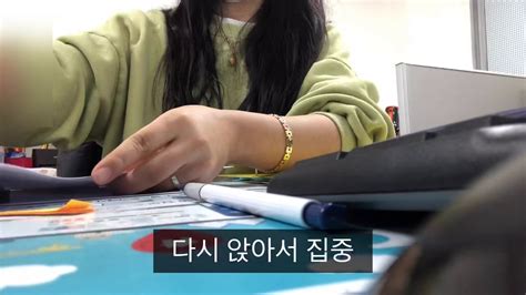 세무사사무실신입 일상 Youtube