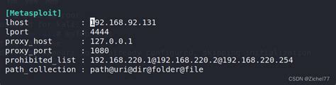 DeepExploit基于Metasploit的自动渗透工具在Kali中详细运行教程 CSDN博客