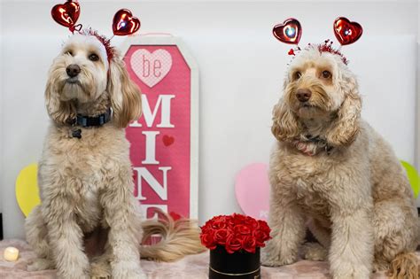 Our Love Language Is Creating Dental Design Ergonomics