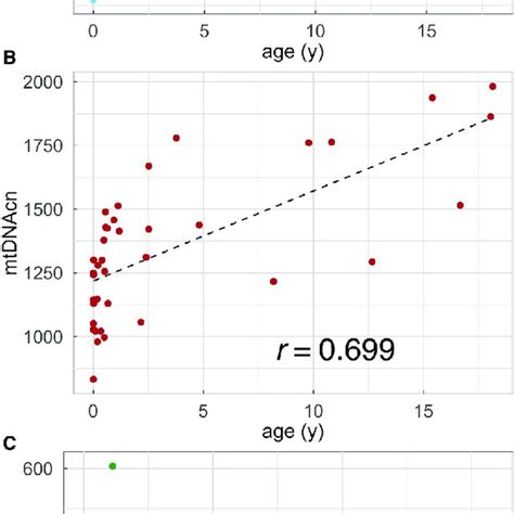 Mtdnacn Versus Age In Cardiovascular Tissue Mtdnacn Plotted Against Age