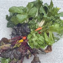 Vegetable Gardening Made Easy Simple Tips Tricks To Grow Your Best
