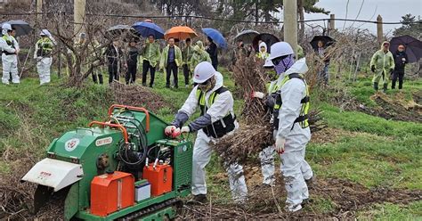 신품종 벼 에너지 절감 기술로 농업 혁신”