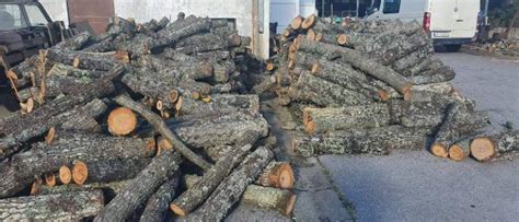 Важна набавка дрва за огрев према потребама Народних кухиња на КиМ