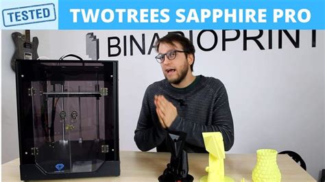 Twotrees Sapphire Pro Stampante 3d Core Xy In Kit Binarioprint