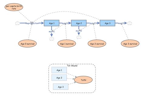 Lab Age Structure Model Insight Maker