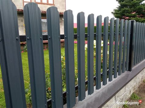 Sztachety Metalowe Ogrodzeniowe Szer 11 50cm Stalowa Wola Sprzedajemy Pl