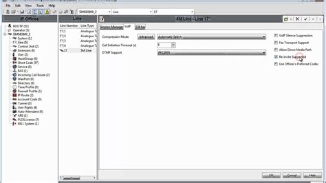 Avaya Sip Trunk Configuration Session Manager At Maddison Westacott Blog