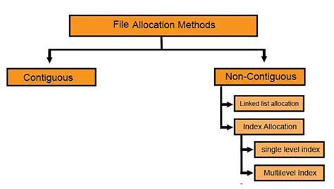 1 File Allocation Categories Download Scientific Diagram
