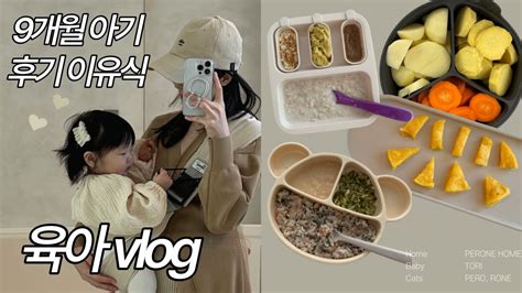 9개월 아기 후기 밥솥이유식 🍚 간식 🧀 변비 해결 방법 아기유산균 두부촉감놀이 육아육묘vlog 👶🏻🐱🐱 Youtube