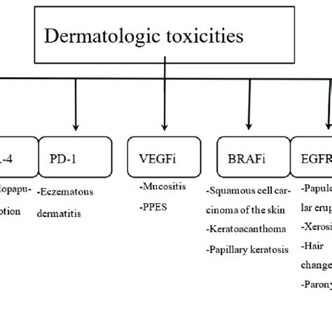 Selected Examples Of Dermatologic Toxicities 5915 21 Download