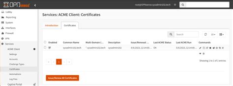 Create Lets Encrypt Wildcard Certificates On Opnsense With Acme Client Sysadmin102™