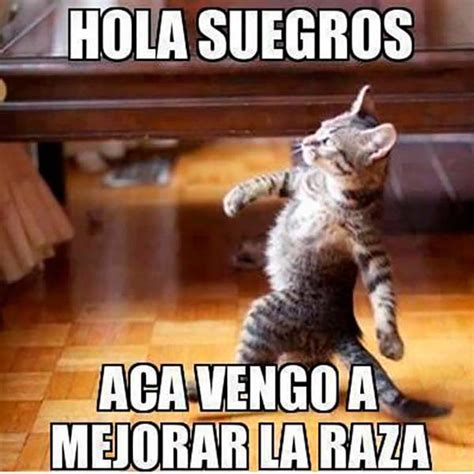 Imágenes De Risa Graciosas Frases Chistosas Y Divertidas