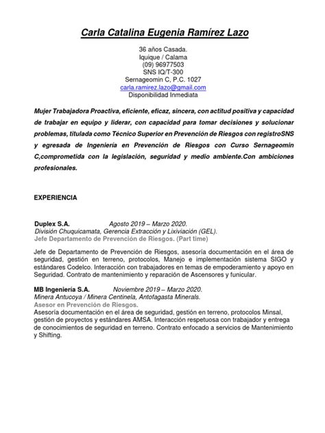 carla catalina eugenia ramírez lazo cv apr pdf minería