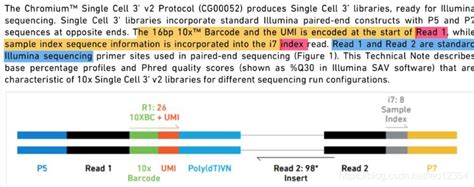 单细胞测序数据分析（2） Cell Ranger使用前注意事项 学习笔记 Leo12354的博客 Csdn博客