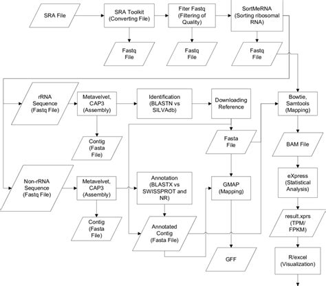 Metatranscriptomics Workflows Of Envirionmental Sample Of Fungi Download Scientific Diagram