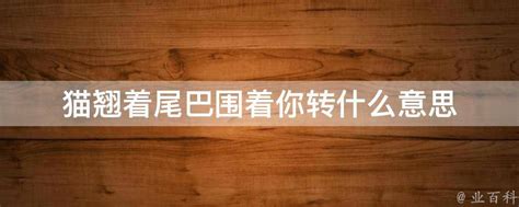 猫翘着尾巴围着你转什么意思 业百科