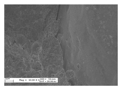 The Cement Paste Aggregate Interface Transition Zone Itz Of Steel