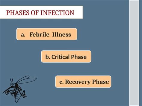 436357762 Dengue Prevention Control Program Pptx
