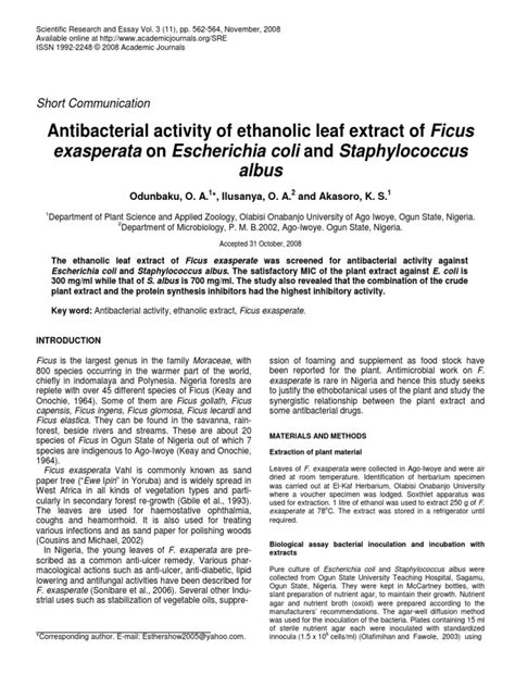Antibacterial Activity Of Ethanolic Leaf Extract Of Ficus Pdf