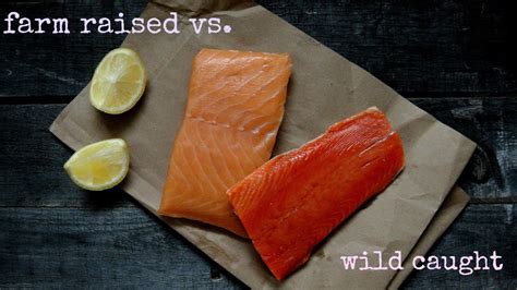 Wild Salmon Vs Farmed Salmon