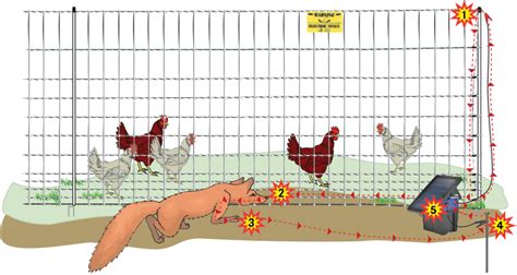 What Is Poultry Netting Artofit