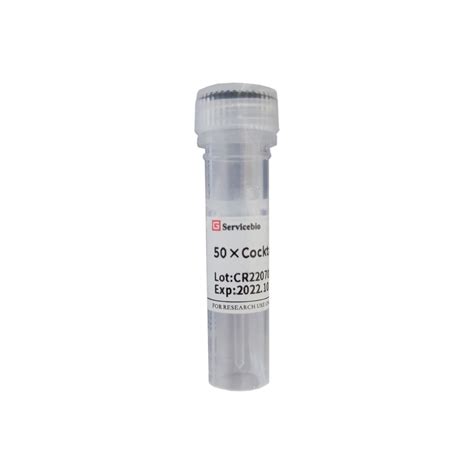 50× Cocktail Protease Inhibitor For Protein Extraction China Protease