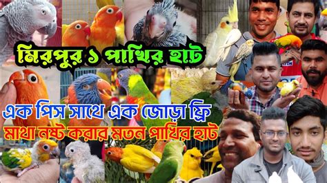 এক পিস পাখি কিনলে এক জোড়া ৬০০০ হাজার টাকা দামের পাখি ফ্রি মিরপুর ১