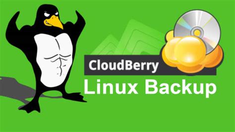 Linux Applications Average Linux User
