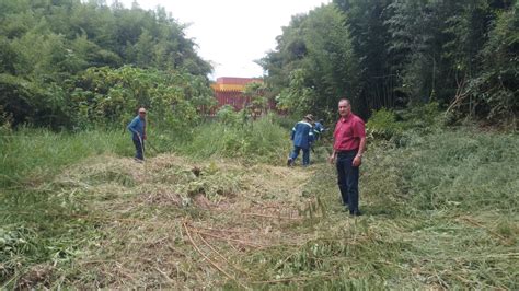 Inicia Ayuntamiento de Córdoba con la limpieza de la zona Arqueológica