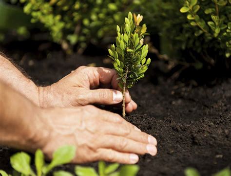 Ford Apoya Conservación Del Medio Ambiente