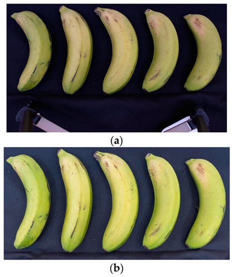Prediction Of Bioactive Compounds And Antioxidant Activity In Bananas During Ripening Using Non