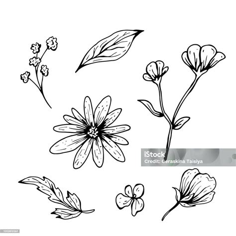 花塗鴉手繪向量插圖單色黑白墨水素描線條藝術隔離在白色背景上著色頁向量圖形及更多塗色書頁 製圖技術圖片 塗色書頁 製圖技術 有邊框