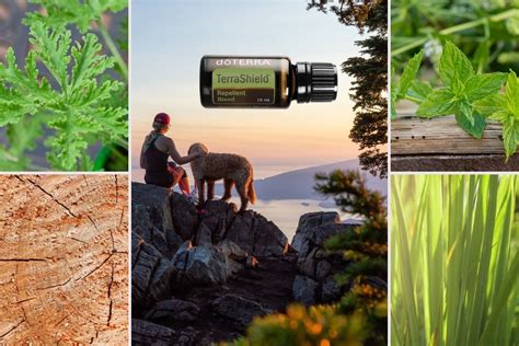 Terrashield Repellent Blend Essential Oil Vet
