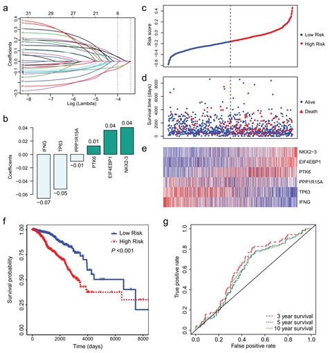 Identification And Validation Of Prognostic Signature For Breast Cancer Based On Genes