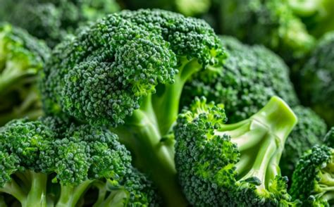 Del Productor Al Consumidor Los Precios De Los Agroalimentos Se