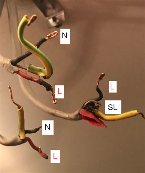 Lighting Circuit Dead After Repairing Fault Page 2 DIYnot Forums