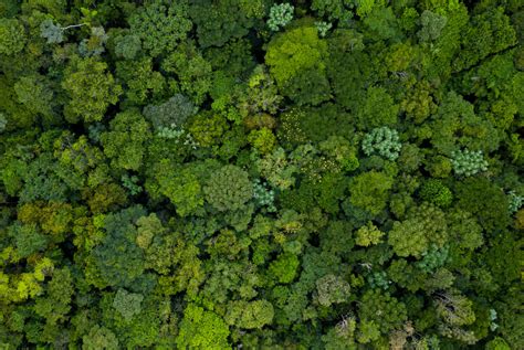 Sustainability Best Practices In Research Orthopaedic Research UK