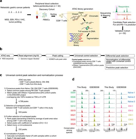 Outline Of Assay For Transposase Accessible Chromatin Using Sequencing