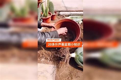 ，谢谢官方推送进来的亲双击加关注哦
