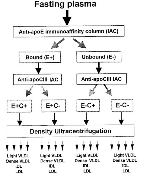 Separation Of Lipoproteins With Apob Defined By Their Apoe And Apoc Iii Download Scientific