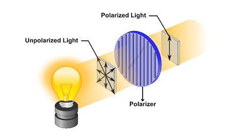 What Is Polarization Of Light Explained